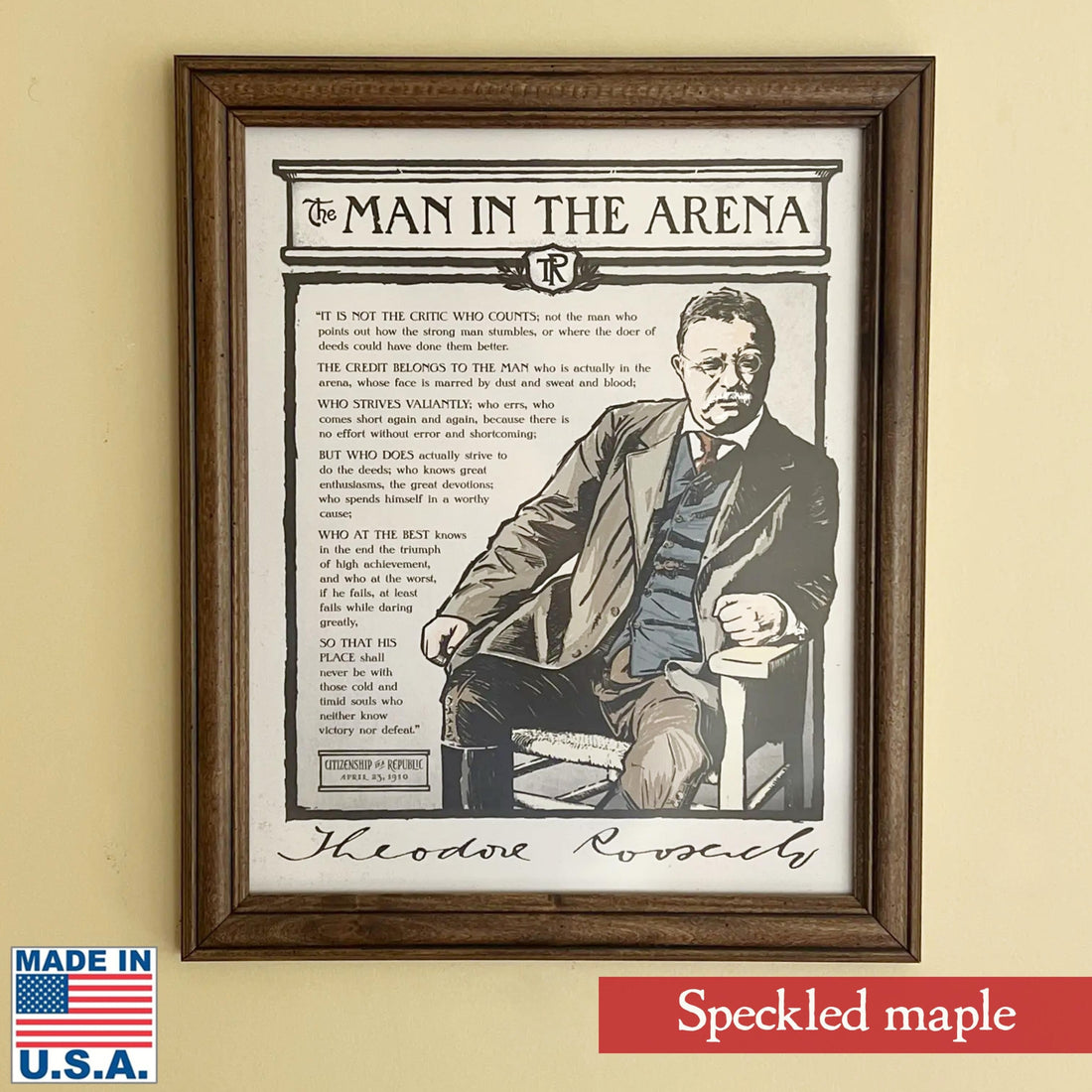 The Man in the Arena — Teddy Roosevelt original framed print made in A#N# – The History List